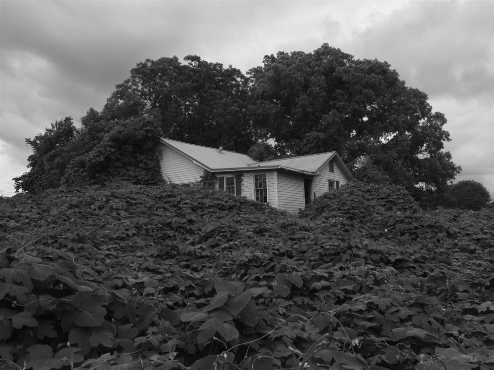 Undigestible Dreams of America – Alec Soth ‘Songbook’ – AMERICAN SUBURB X