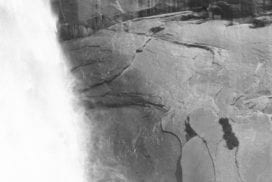 JOHN MUIR & FRIENDS – AMERICAN SUBURB X