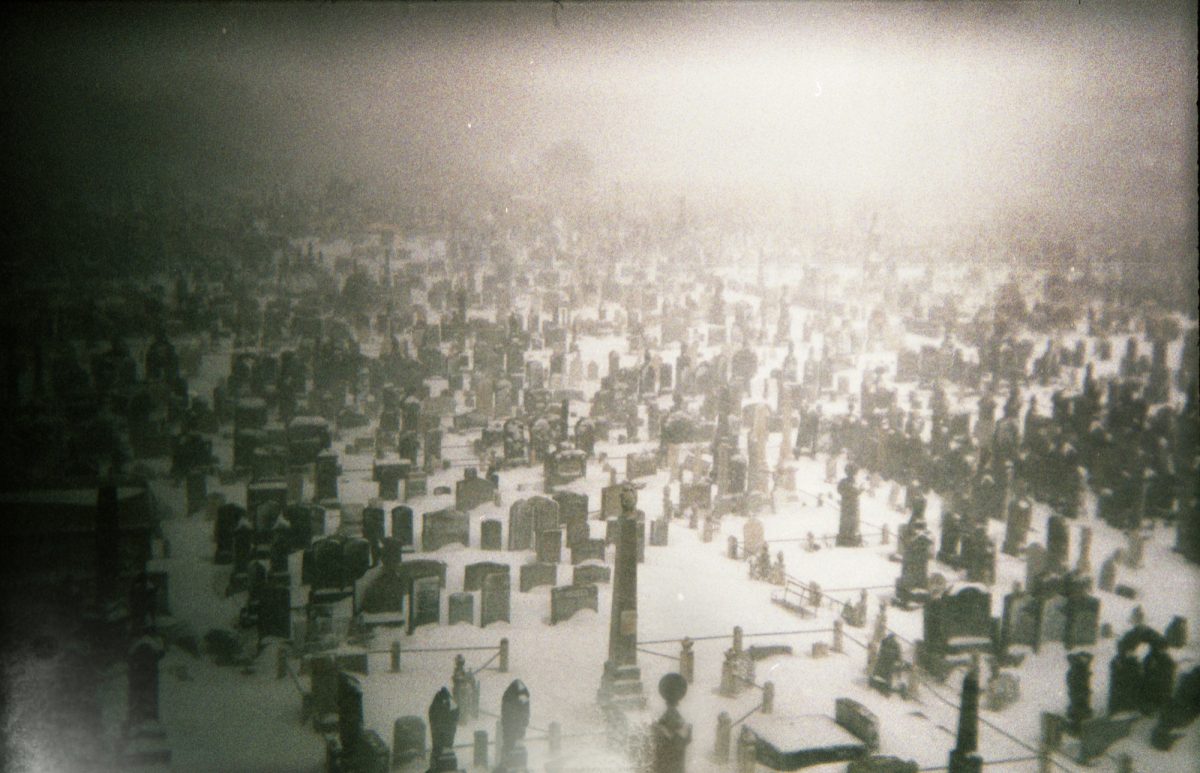 Igor Posner – Cargó – AMERICAN SUBURB X