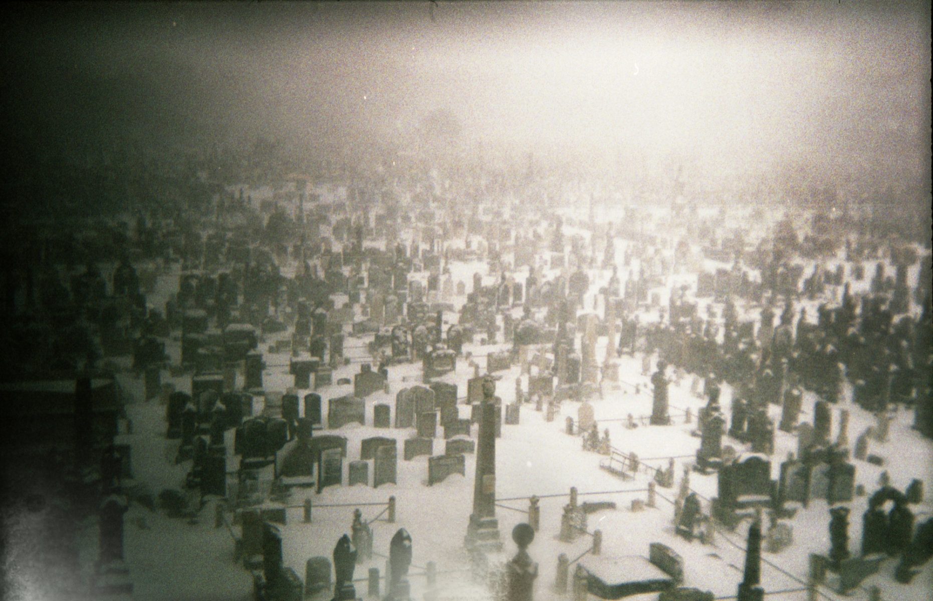 Igor Posner – Cargó – AMERICAN SUBURB X