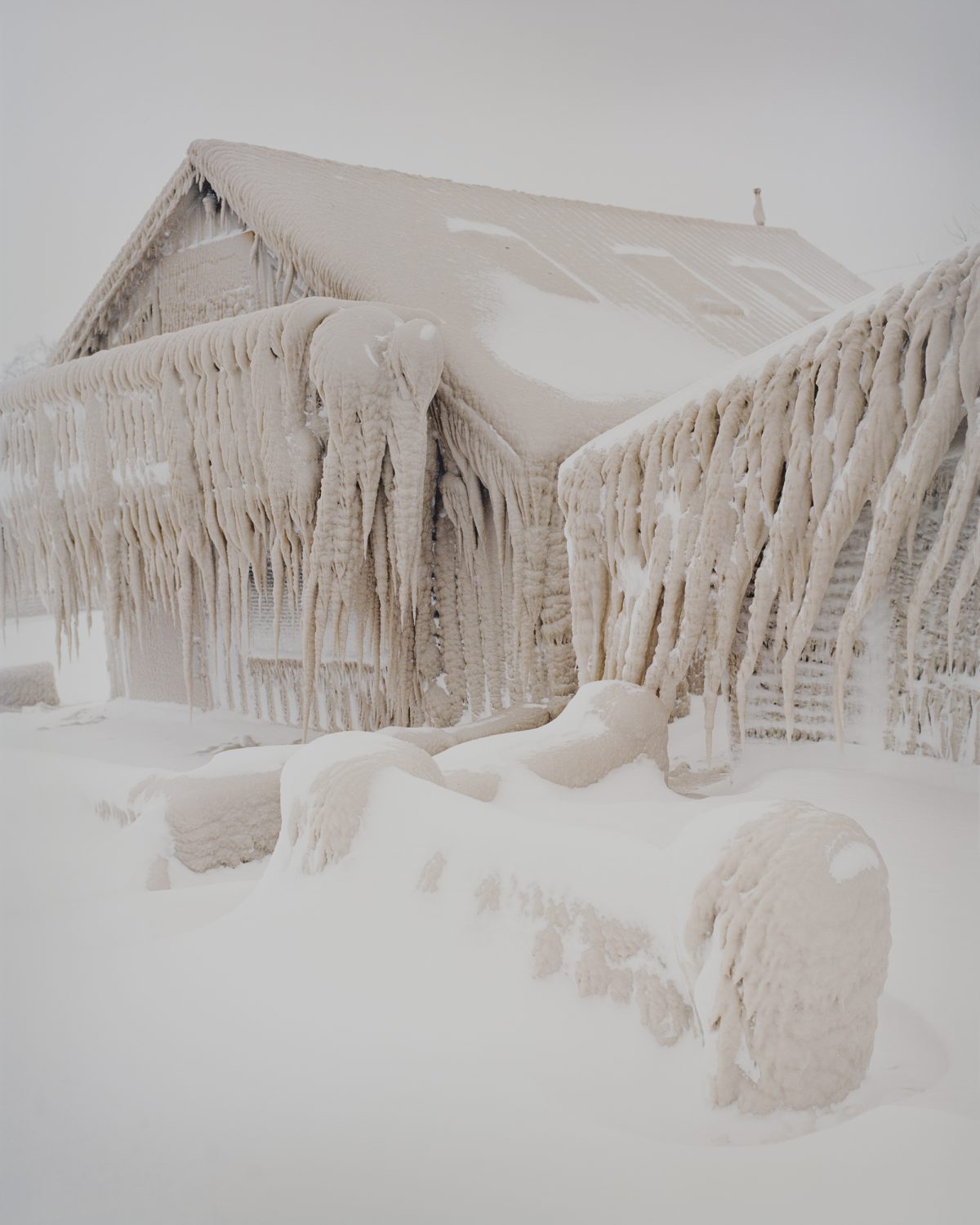 Gregory Halpern – King, Queen, Knave Perspective 2 – AMERICAN SUBURB X