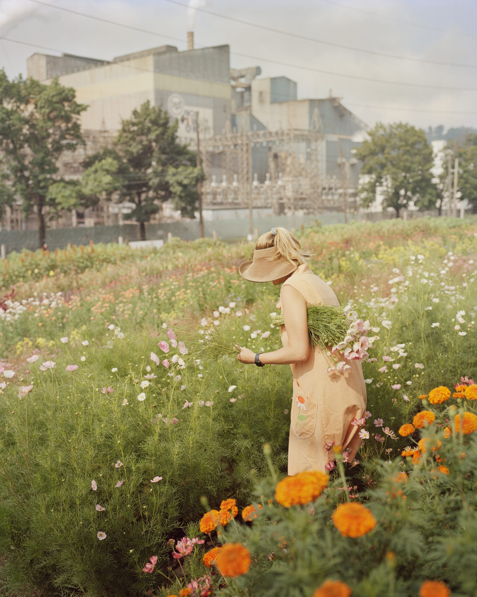 Gregory Halpern – King, Queen, Knave Perspective 2 – AMERICAN SUBURB X